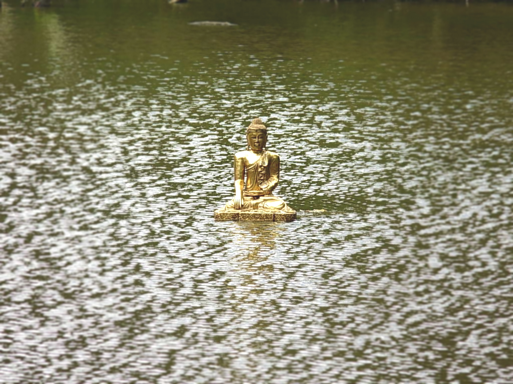 Water Buddha Wallpaper